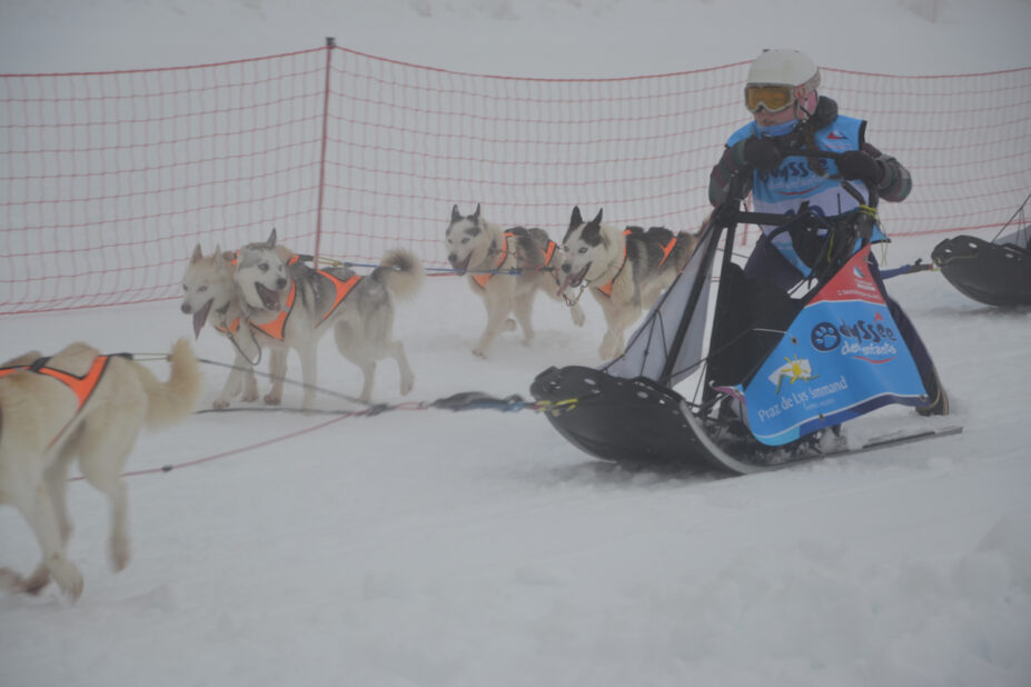 Des enfants ont fait une course de chiens de traîneaux - 1jour1actu.com