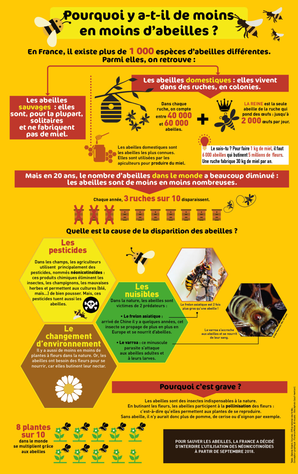 Les abeilles sont-elles menacées