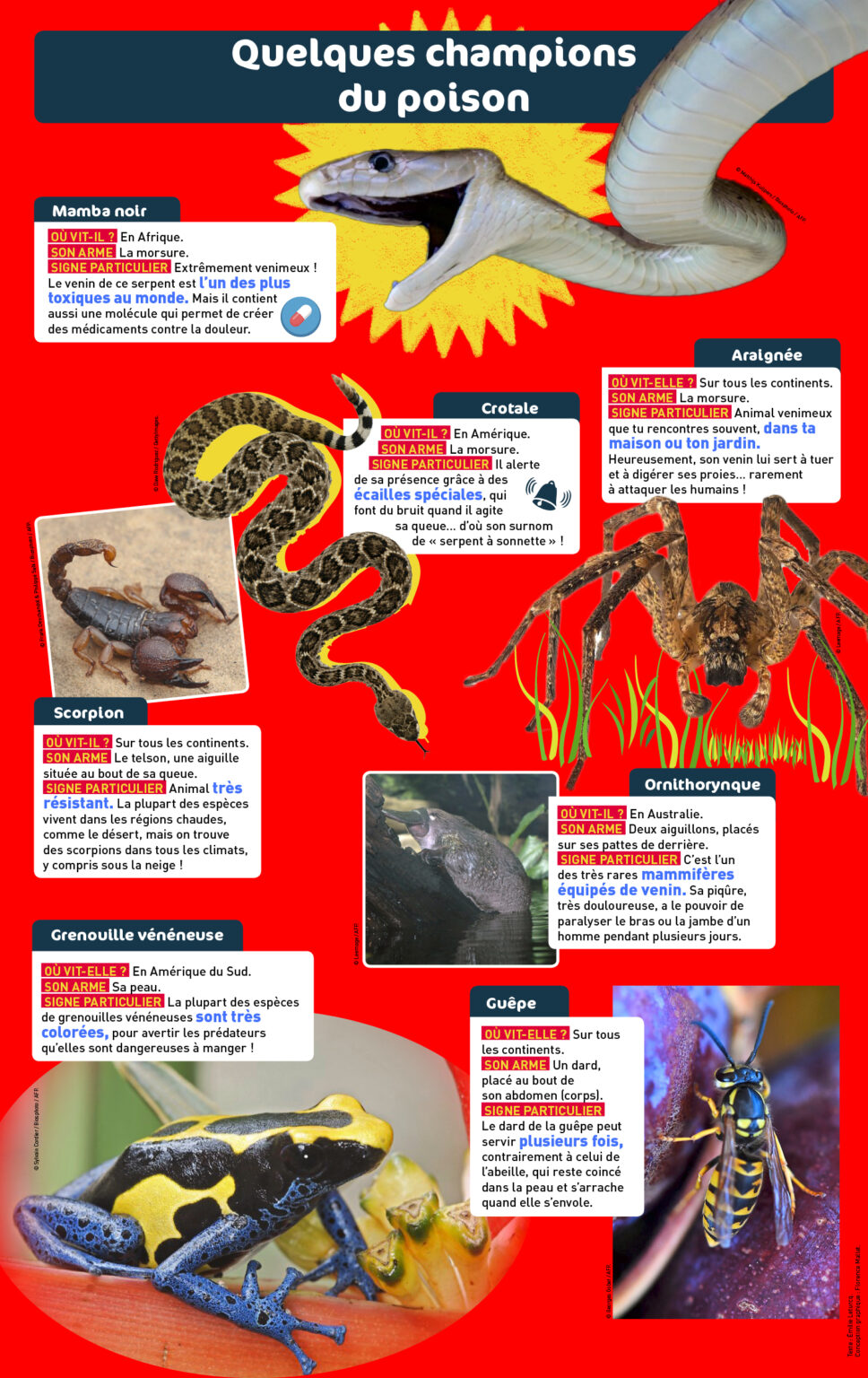 Découvre les mystères du poison