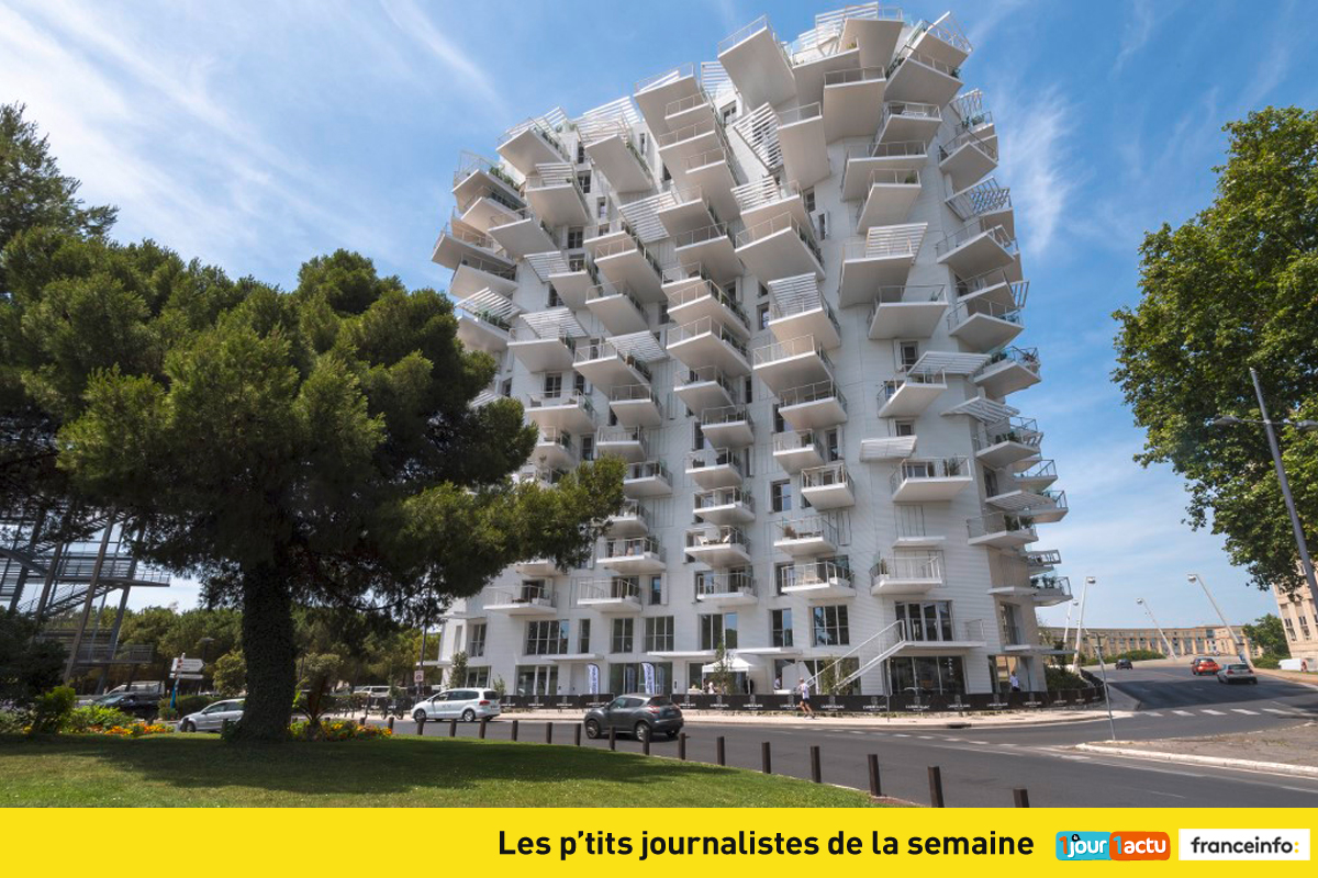 À quoi ressemblera la ville du futur ? - 1jour1actu.com À quoi ressemblera la ville du futur ? - 1jour1actu.com