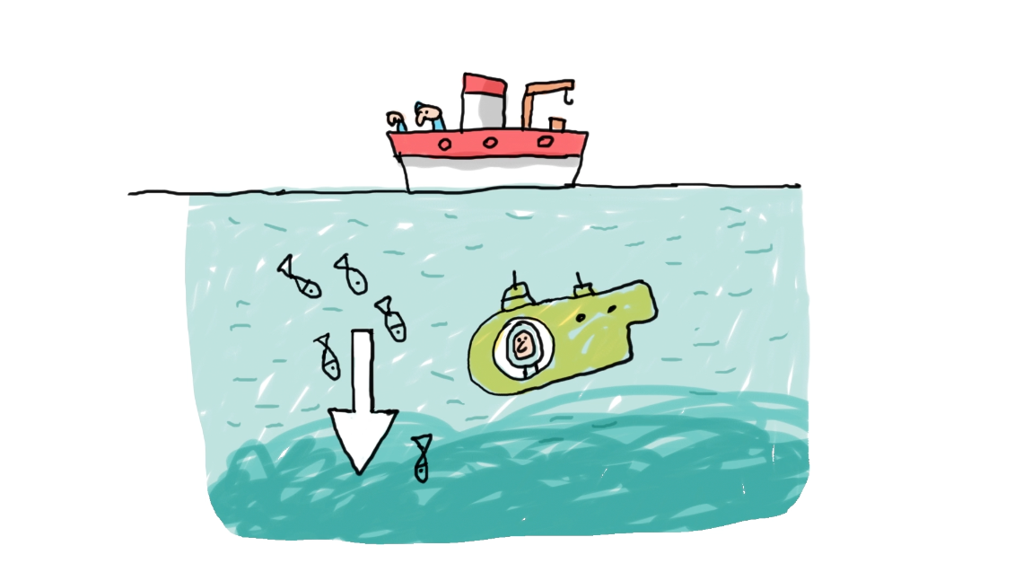 What is the abyss? - 1jour1actu.com