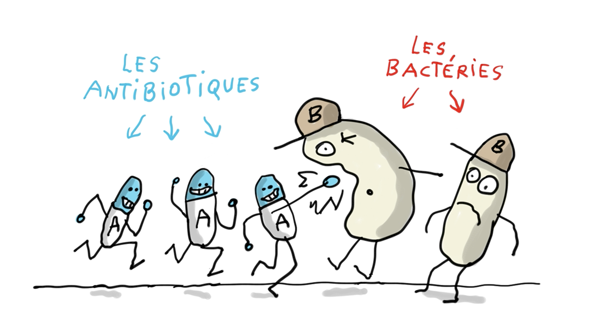 C’est quoi, les antibiotiques ? - 1jour1actu.com