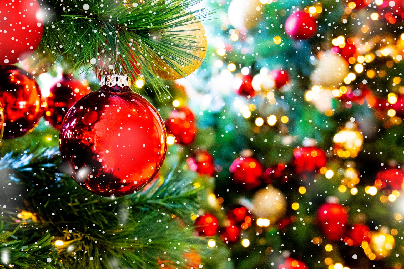 Les plus beaux sapins de France… en photos