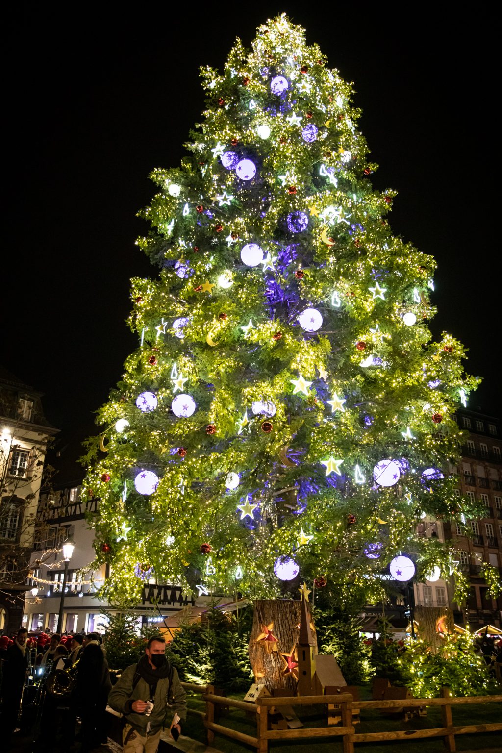 Les plus beaux sapins de France… en photos