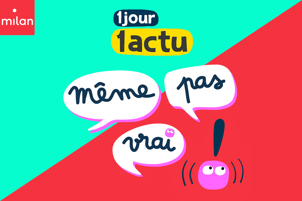 Accueil - 1jour1actu.com