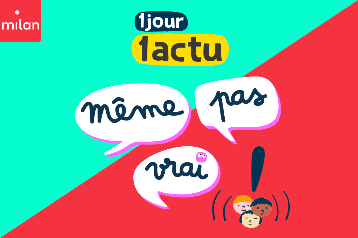 Il existe plusieurs races humaines ? Même pas vrai