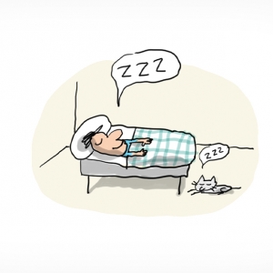 Accueil - 1jour1actu.com