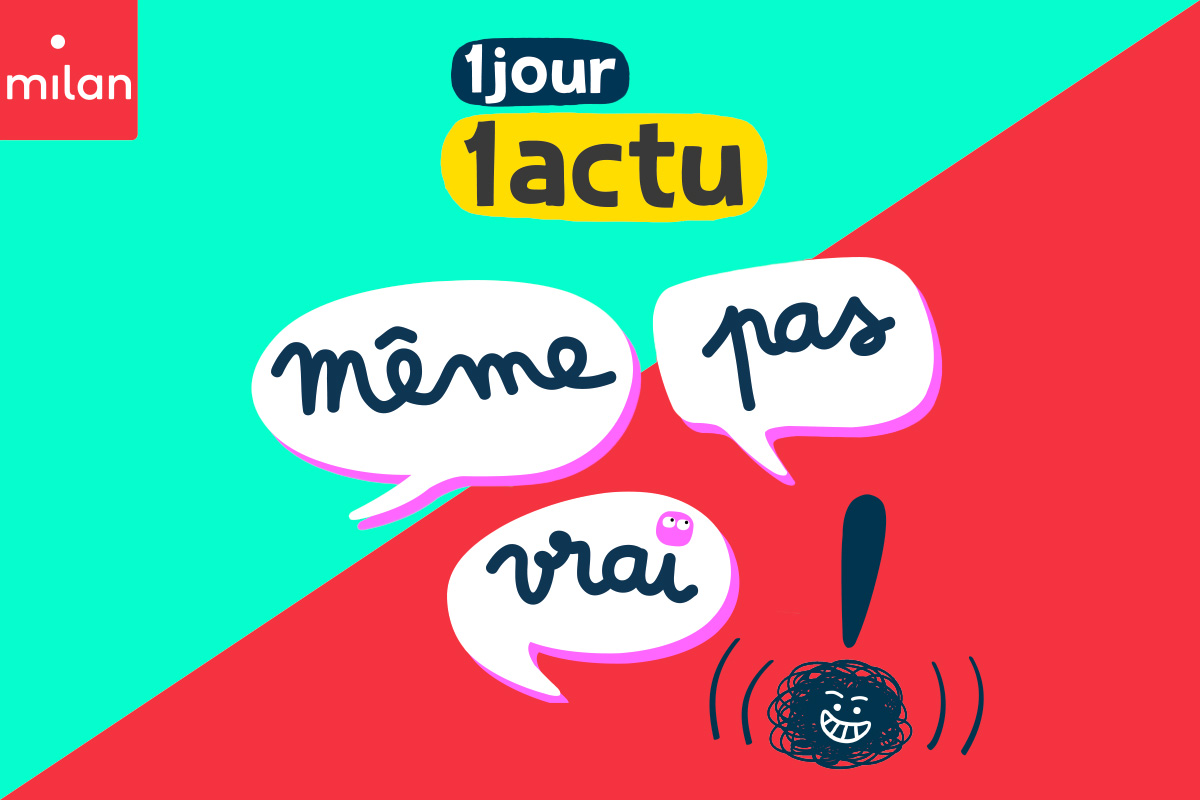 Accueil - 1jour1actu.com